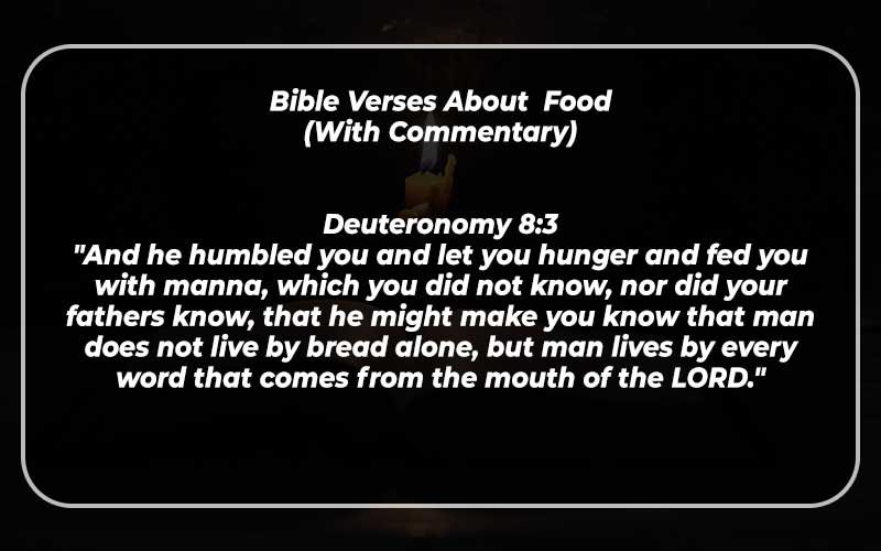 Bible Verses About Food (With Commentary) » OUR BIBLE HERITAGE