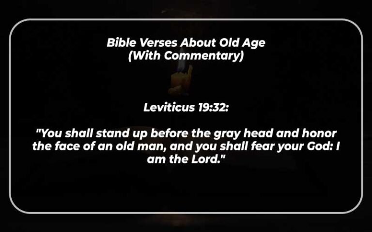 Bible Verses About Old Age (With Commentary) » OUR BIBLE HERITAGE