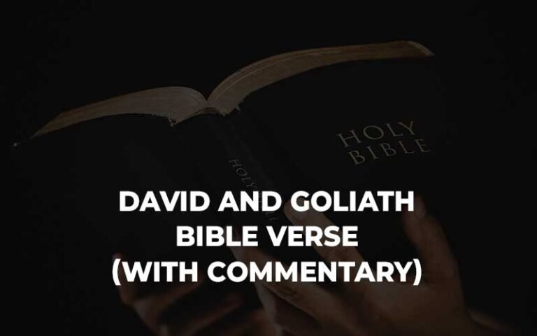 David And Goliath Bible Verse (With Commentary) » OUR BIBLE HERITAGE