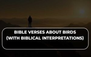 Popular Bible Verses About Birds (With Biblical Interpretations) » OUR ...