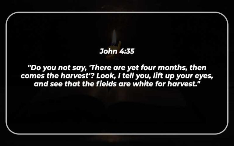 Fall Bible Verses (With Commentary) » OUR BIBLE HERITAGE