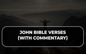 John Bible Verses (With Commentary) » OUR BIBLE HERITAGE