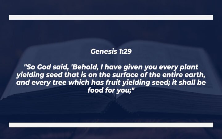 32 Bible Verses About Seeds (With Commentary) » OUR BIBLE HERITAGE