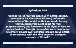 32 Bible Verses About Predestination (With Commentary) » OUR BIBLE HERITAGE