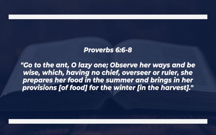 32 Bible Verses About Procrastination (With Commentary) » OUR BIBLE ...