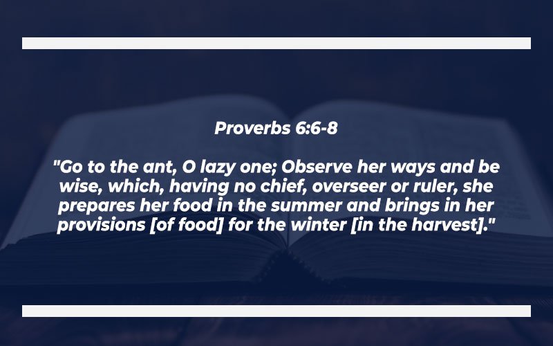 32 Bible Verses About Procrastination (With Commentary) » OUR BIBLE ...