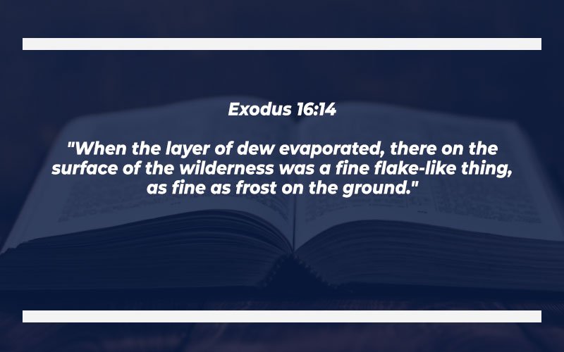 32 Bible Verses About Snow (With Commentary) » OUR BIBLE HERITAGE