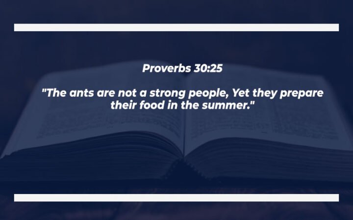 32 Bible Verses About Summer (With Commentary) » OUR BIBLE HERITAGE