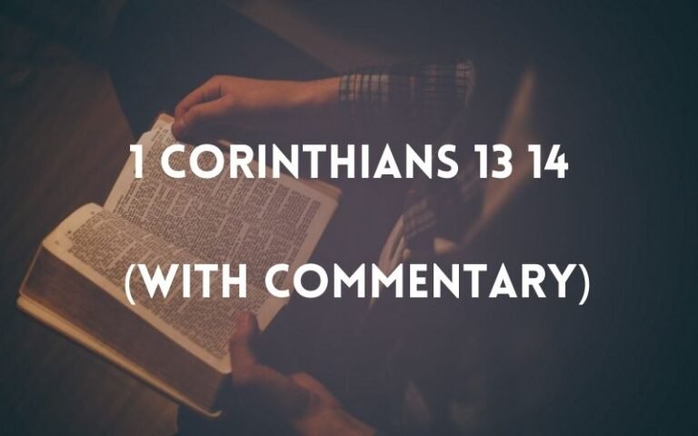 What Does the Bible Say About 1 corinthians 13 14 » OUR BIBLE HERITAGE